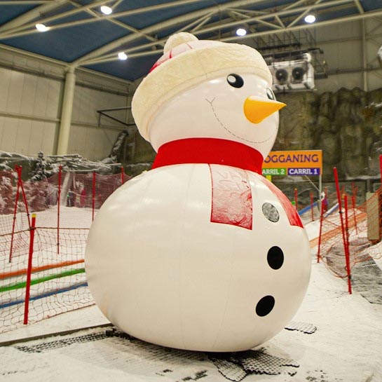 Grand bonhomme de neige à poser : Commandez sur Techni-Contact ...