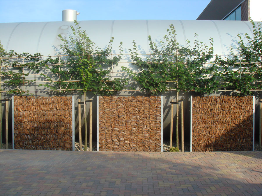 Cloture naturelle pour jardin : Devis sur Techni-Contact - Clôture pour ...