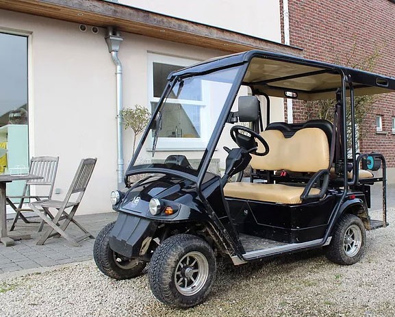 Voiturette électrique 4 places homologation usage sur route : Devis sur ...