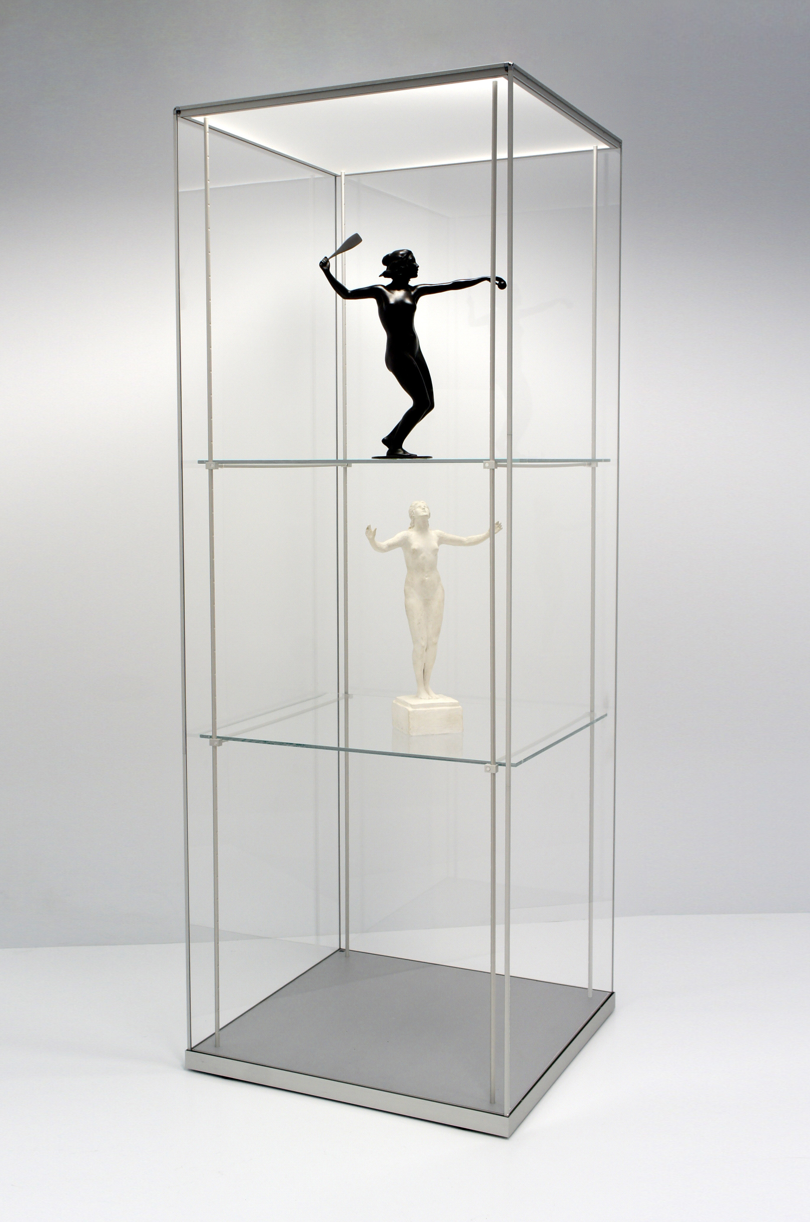 Vitrine d'exposition musée : Devis sur Techni-Contact - Vitrine de ...