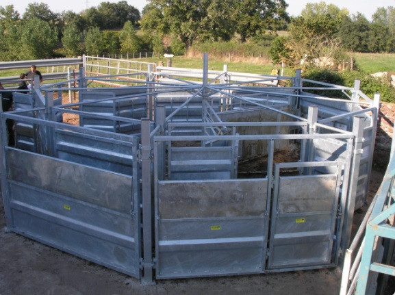 Cage de contention pour bovins : Devis sur Techni-Contact - enclos pour ...
