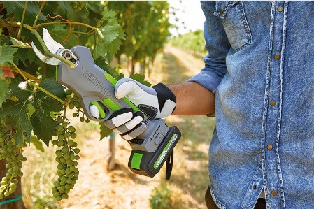 Sécateur à 1 batterie : Devis sur Techni-Contact - Outillage agricole